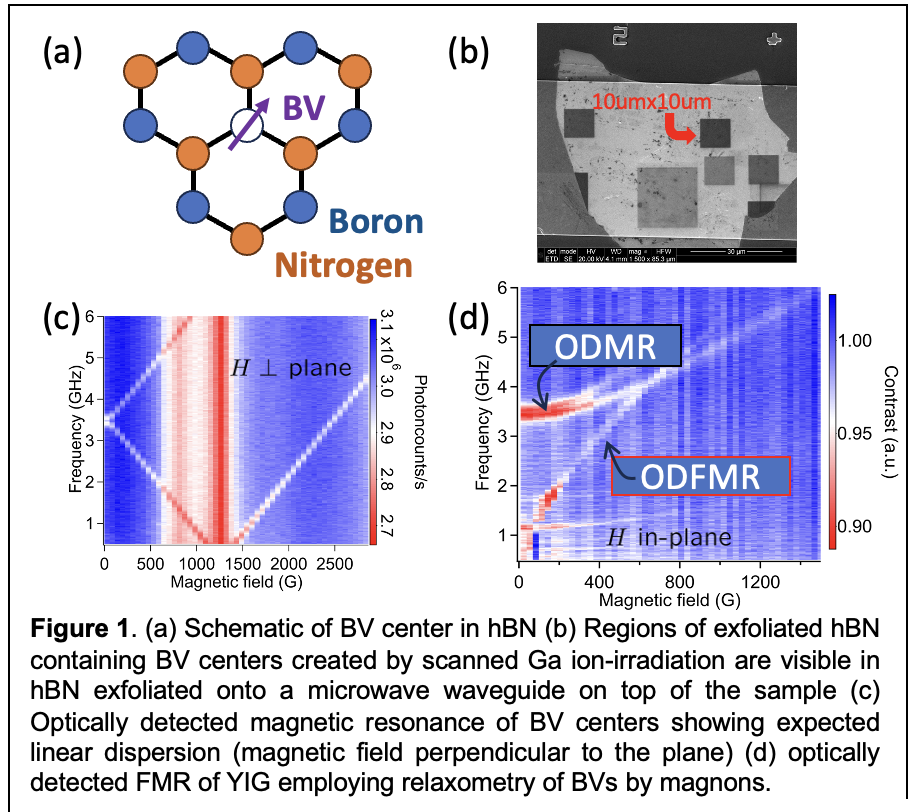Quantum Sensing of Spin Dynamics Using Boron-Vacancy Centers in Hexagonal Boron Nitride | MRSEC